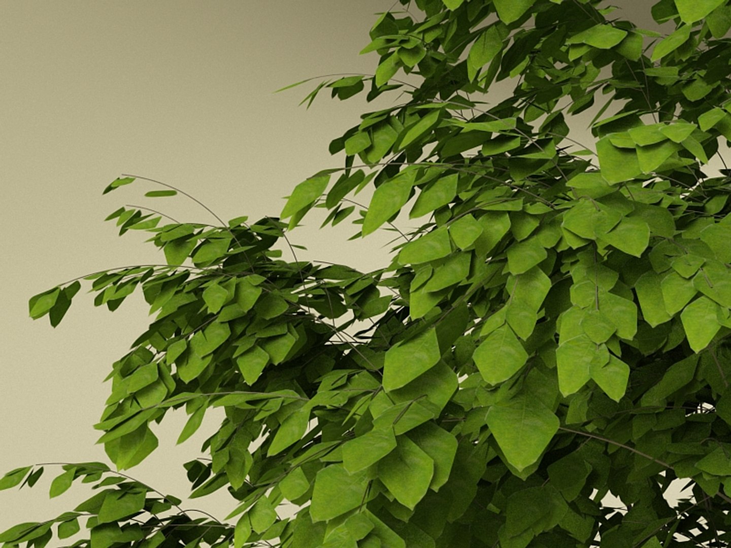 3d Model Bush Modelled