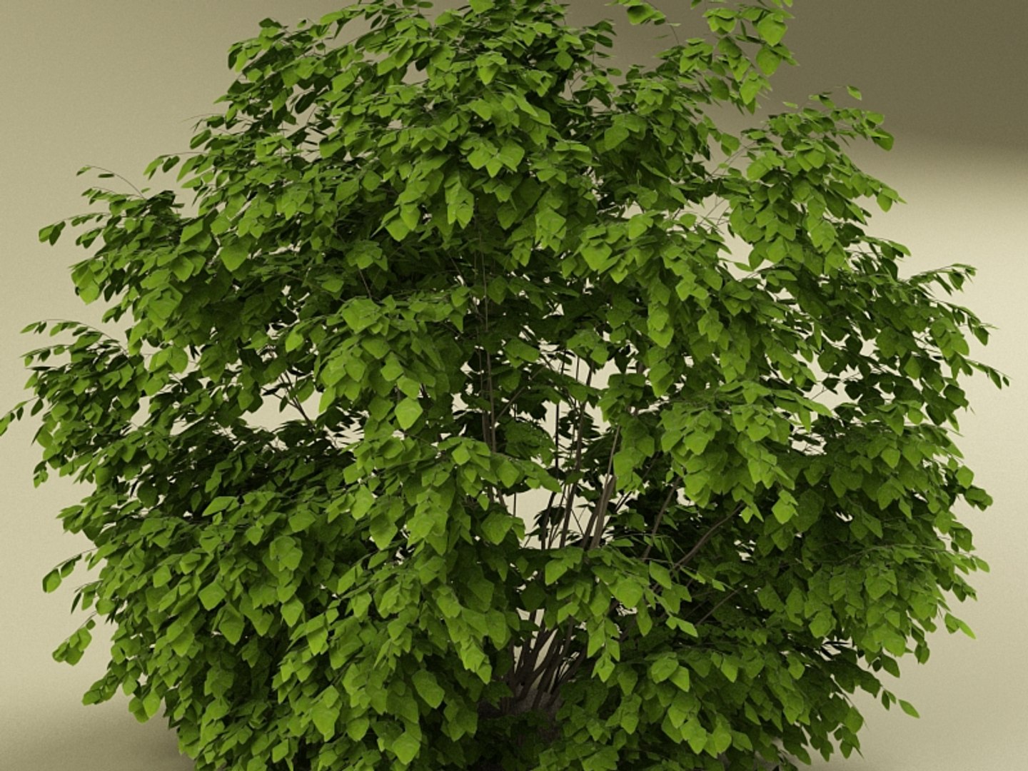 3d Model Bush Modelled