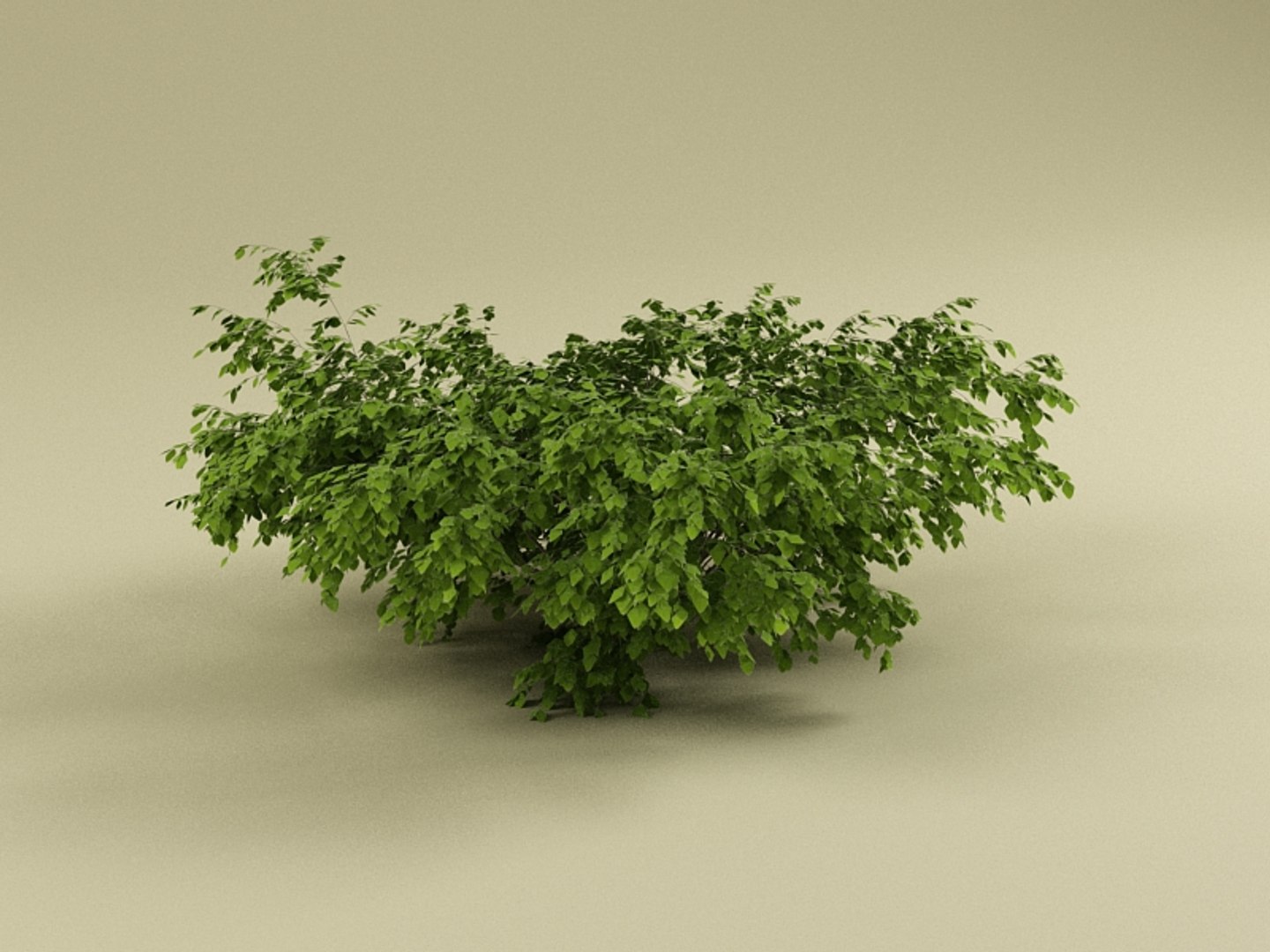 3d Model Bush Modelled