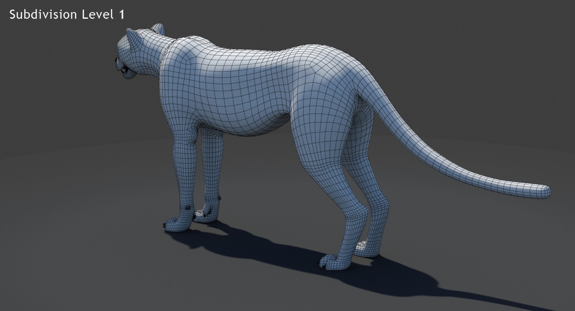 3D Cheetah - TurboSquid 1221530
