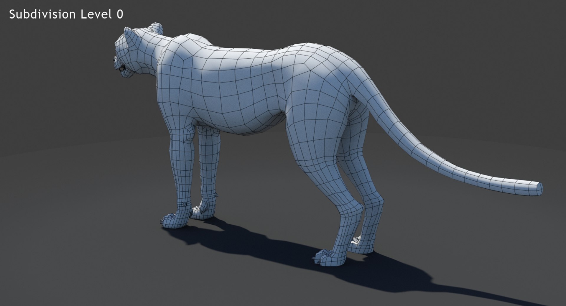 3D Cheetah - TurboSquid 1221530