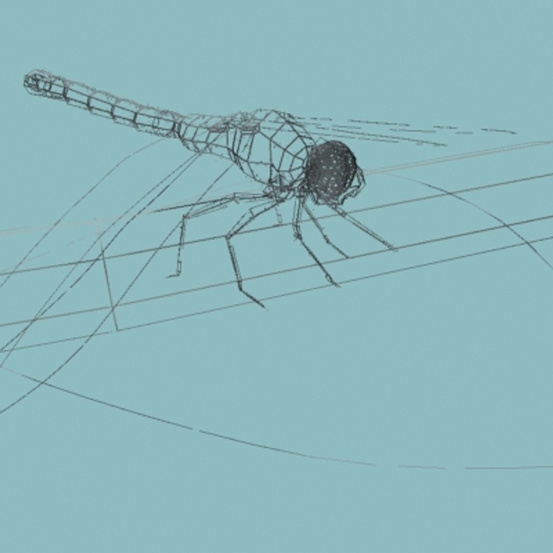 Realistic Dragonfly 3d Model