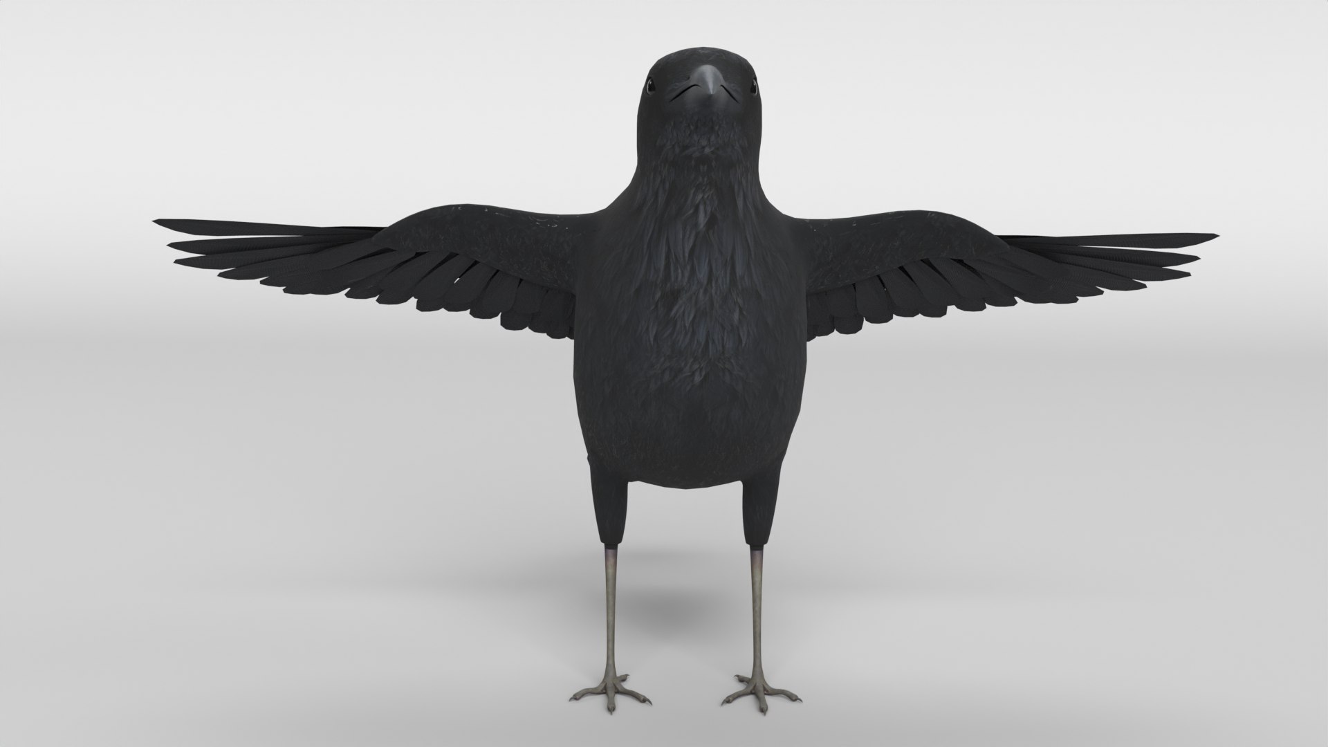3D Model Raven Animated - TurboSquid 2072293