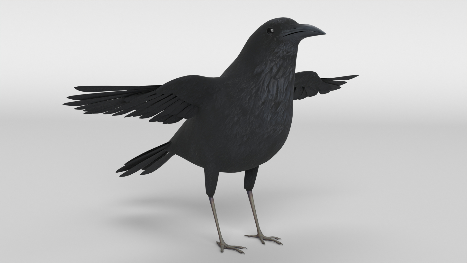 3D Model Raven Animated - TurboSquid 2072293