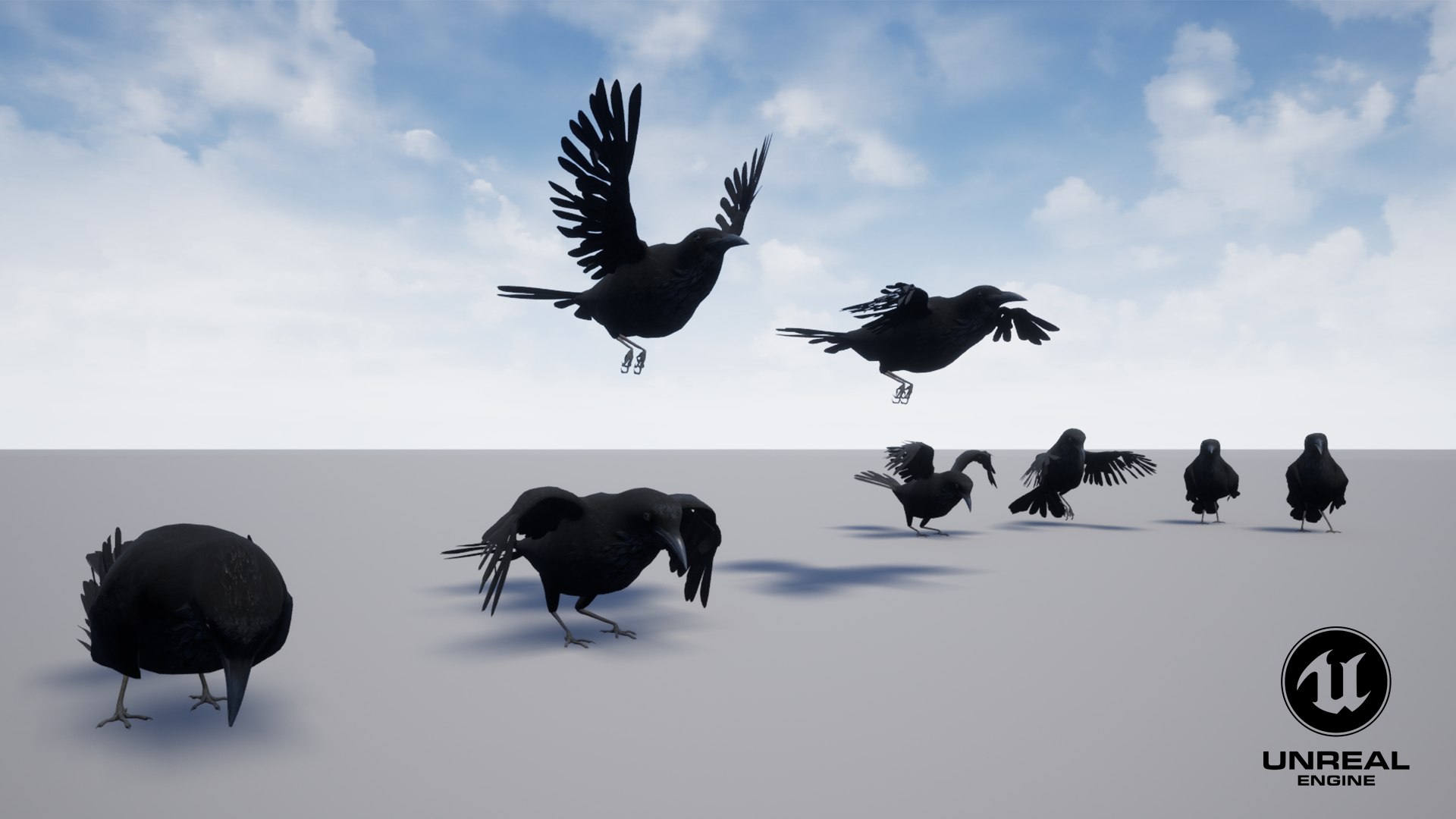 3D Model Raven Animated - TurboSquid 2072293