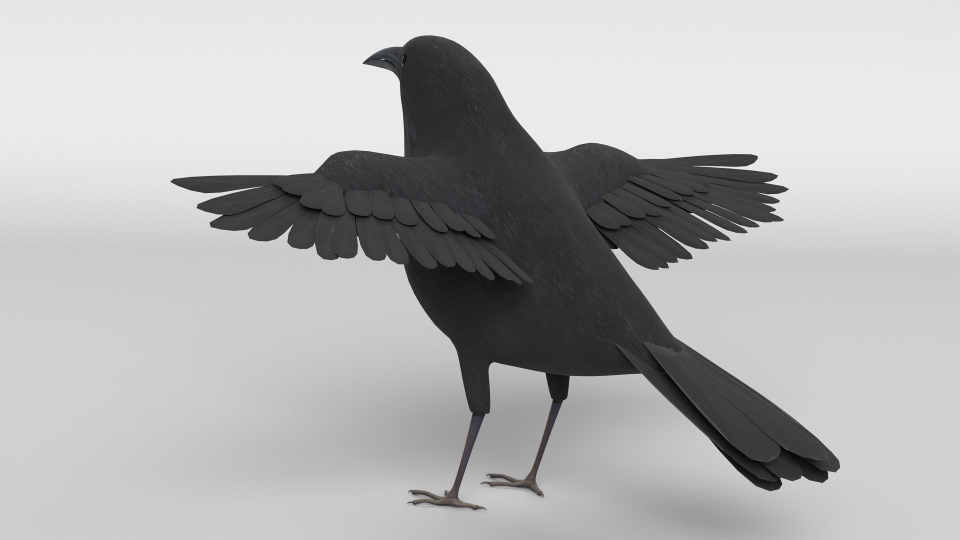 3D Model Raven Animated - TurboSquid 2072293