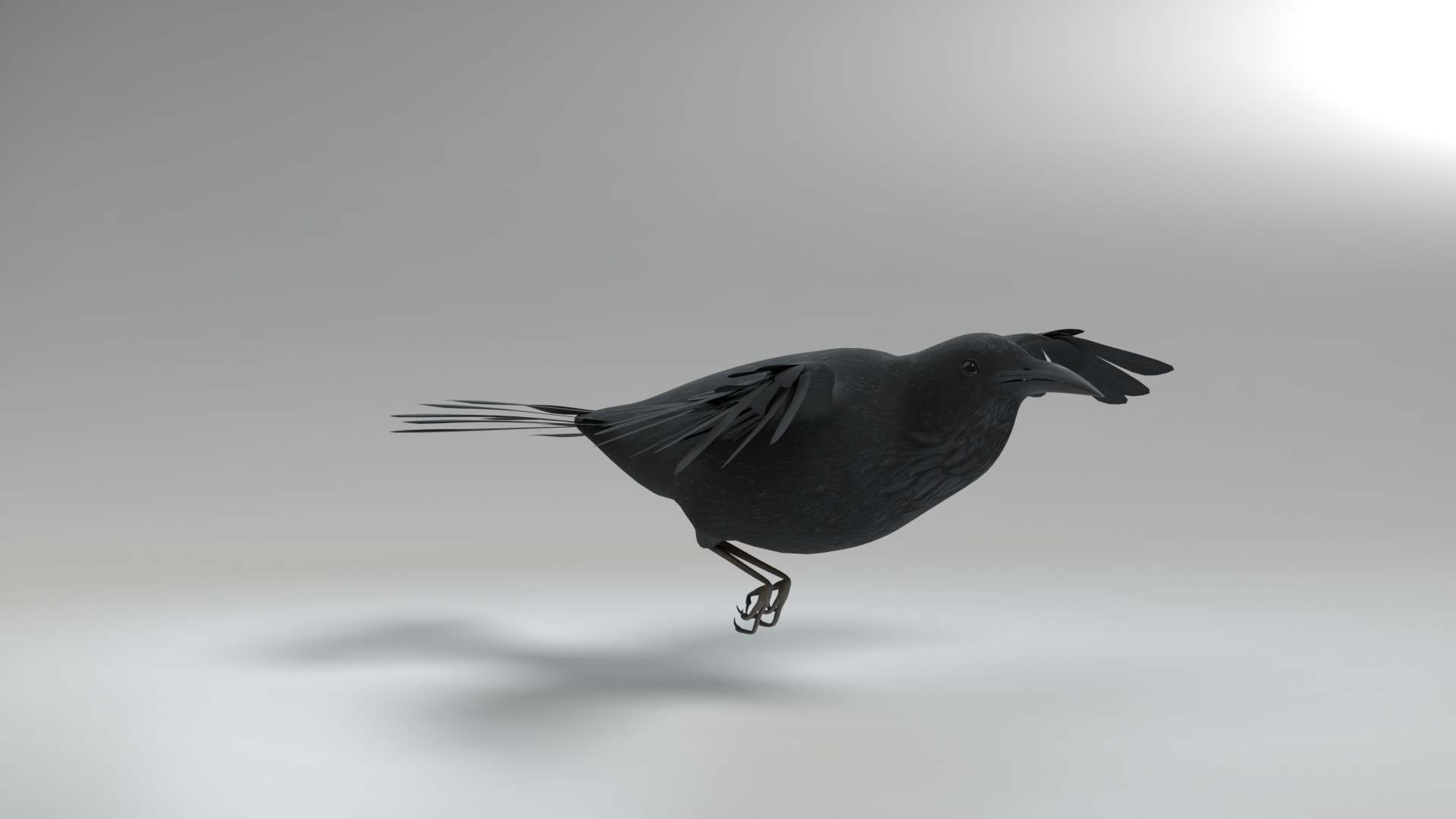 3D Model Raven Animated - TurboSquid 2072293