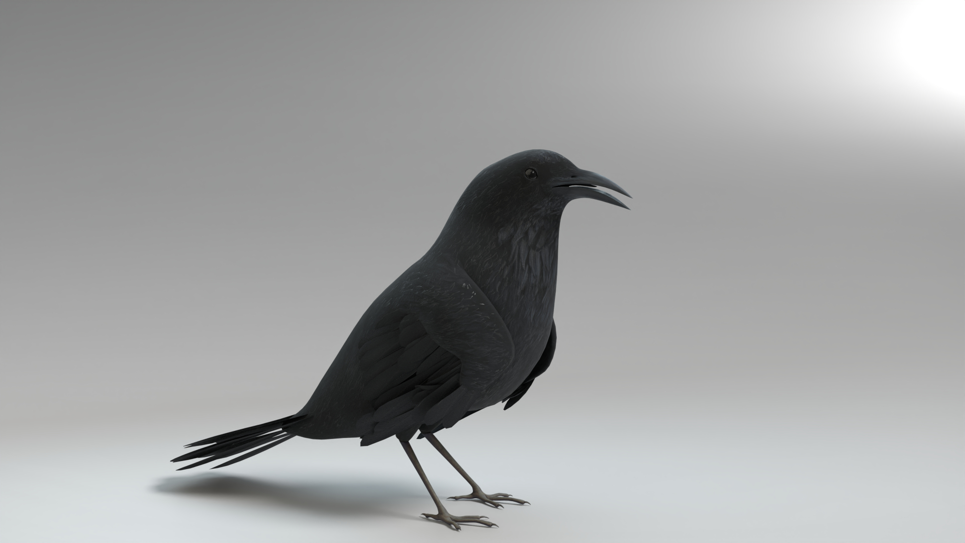 3D Model Raven Animated - TurboSquid 2072293