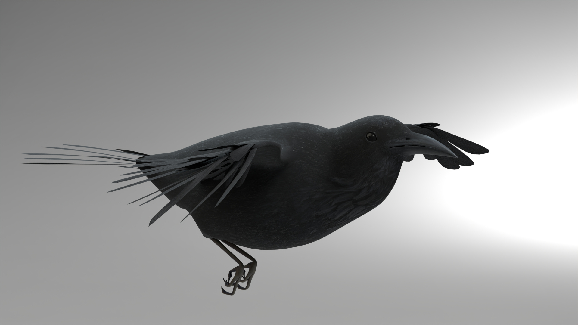 3D Model Raven Animated - TurboSquid 2072293