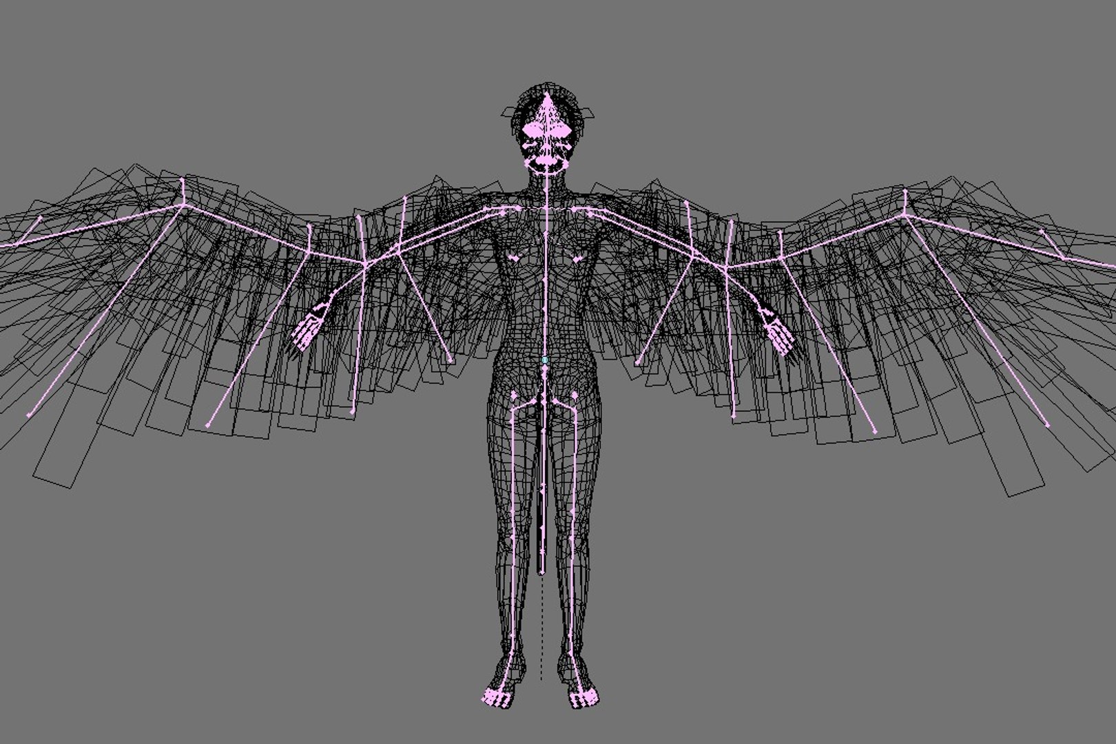 3d Harpy Beauty Wings
