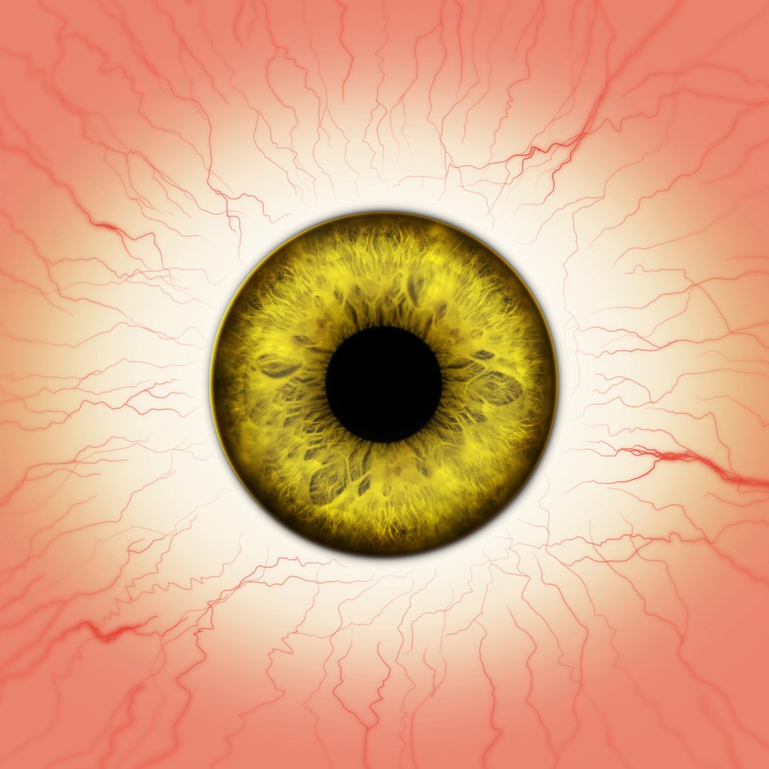 3d harpy beauty wings