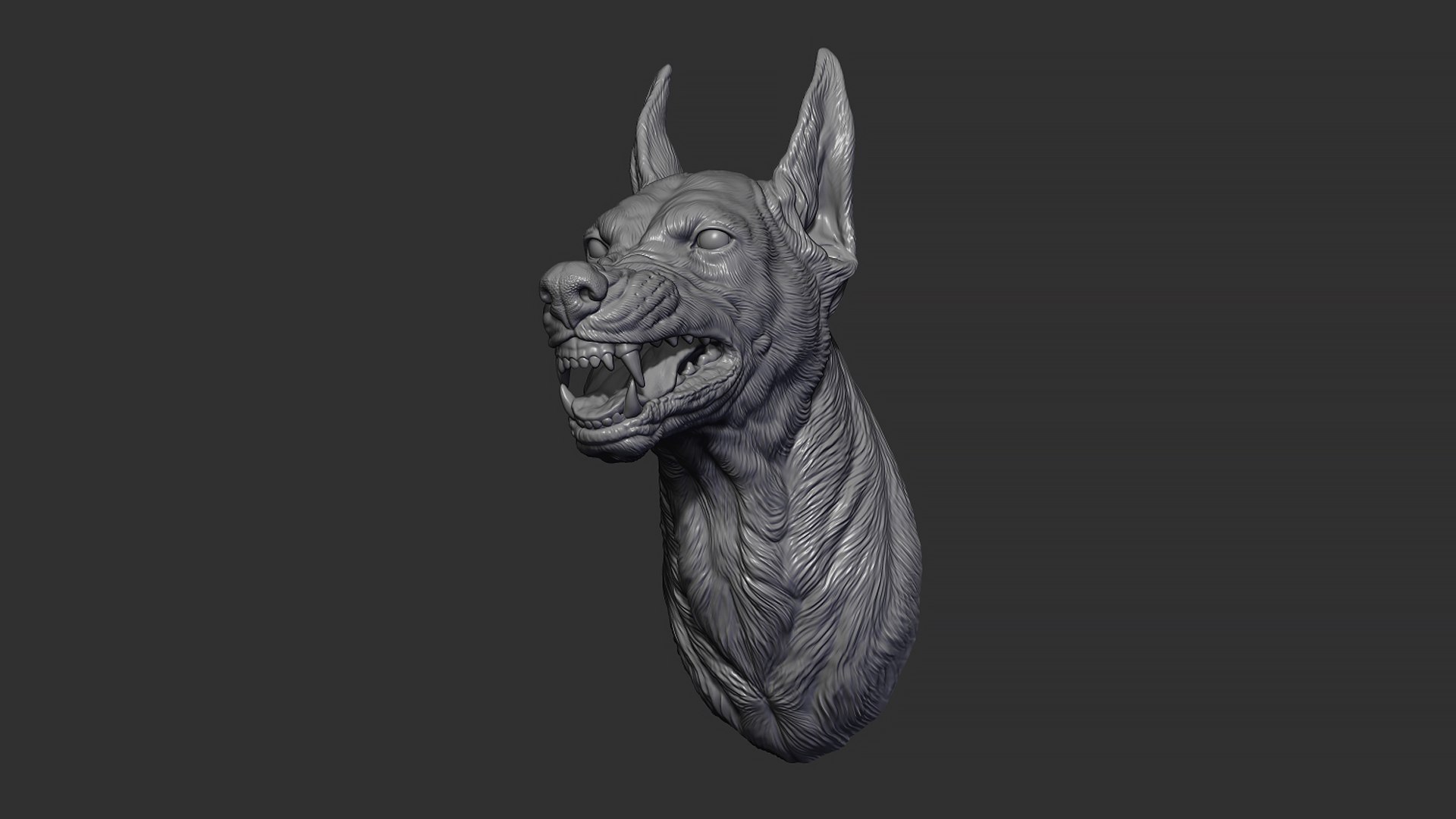 Doberman Head Grin Model - TurboSquid 2040433