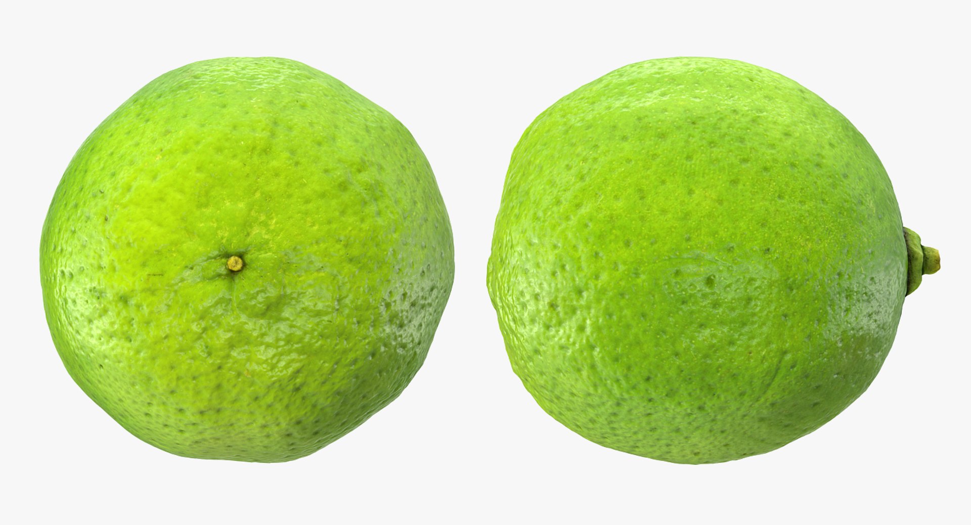 3D Lime Realistic Model - TurboSquid 1172002