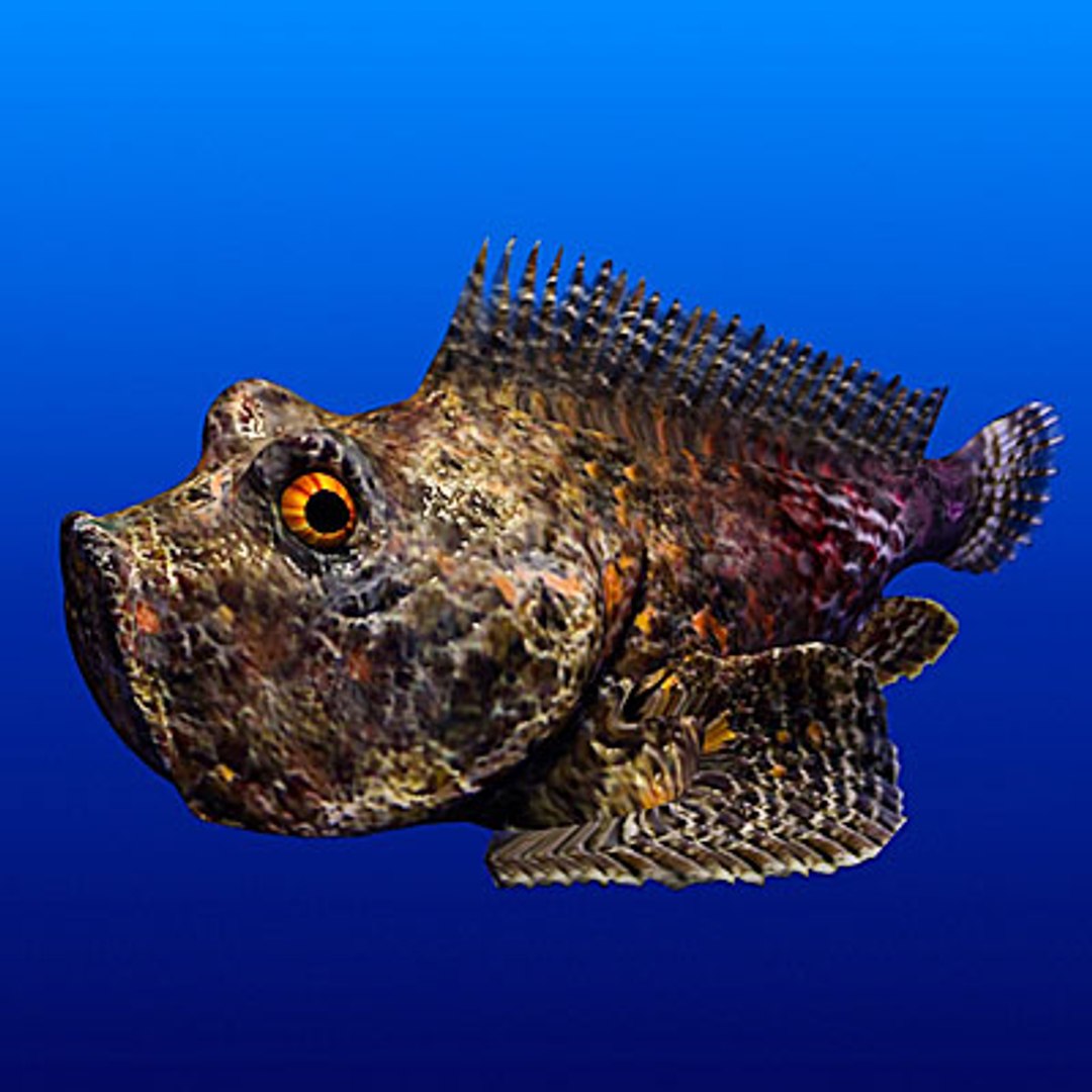Stonefish Fish 3d Max