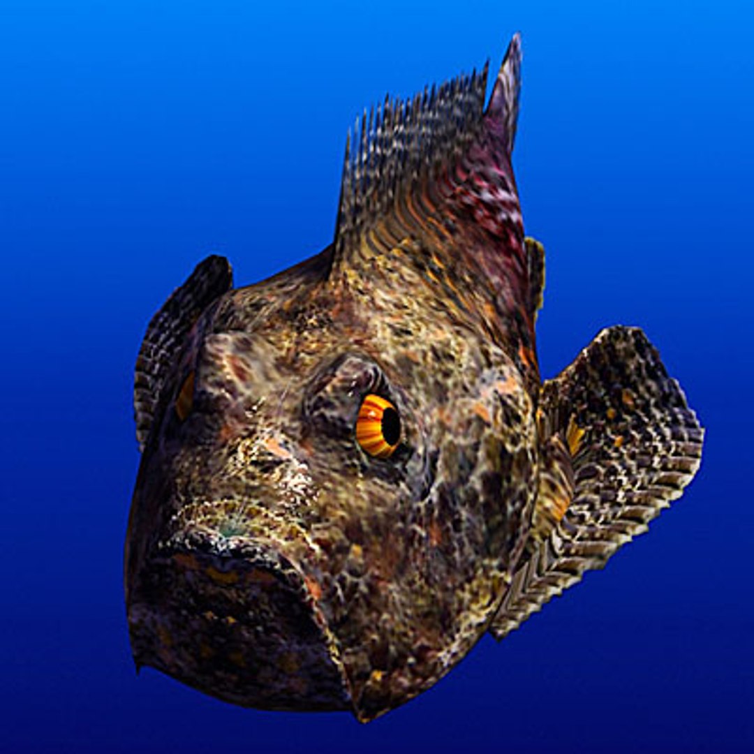 Stonefish Fish 3d Max