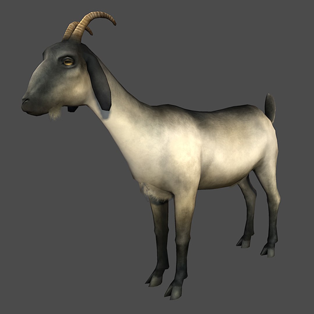 Maya Goat