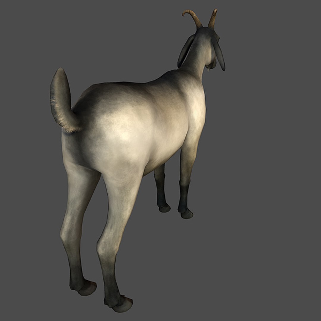 Maya Goat