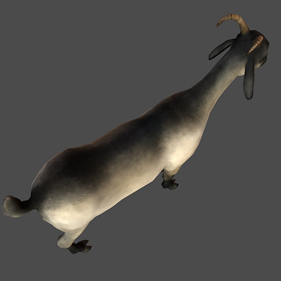 Maya Goat