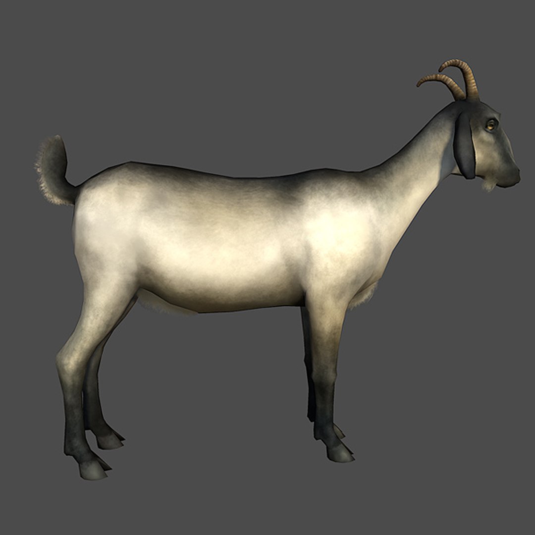 Maya Goat