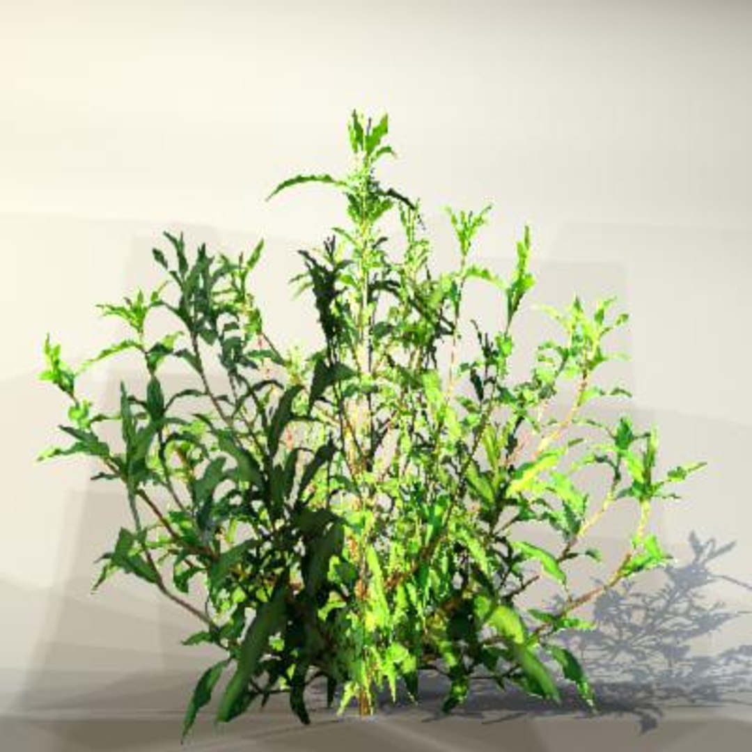 pc grass 3d max