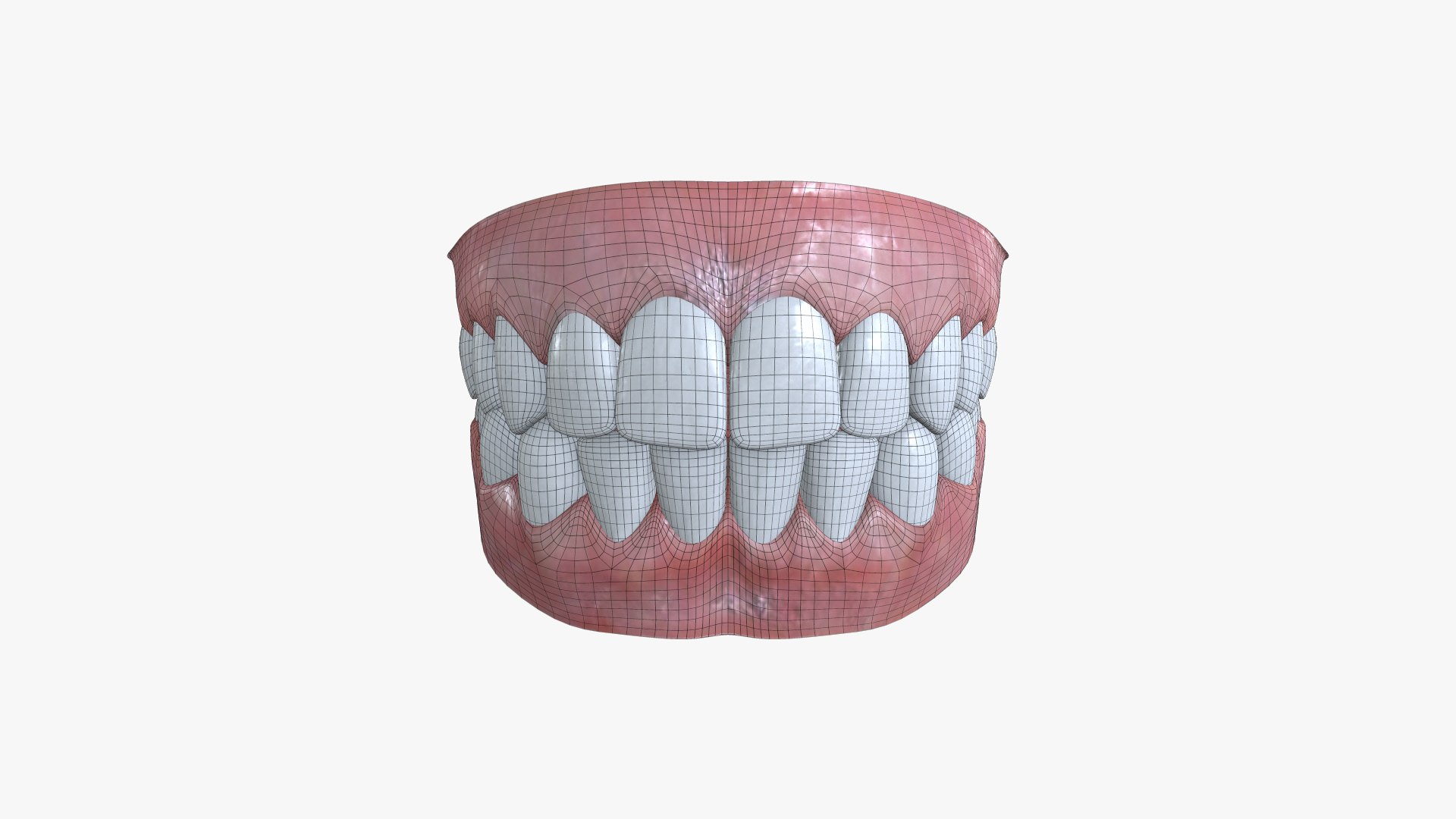 TET-001 Rigged Teeth 3D Model - TurboSquid 1991273