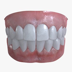 3D TET-002 Rigged Teeth - TurboSquid 1993501