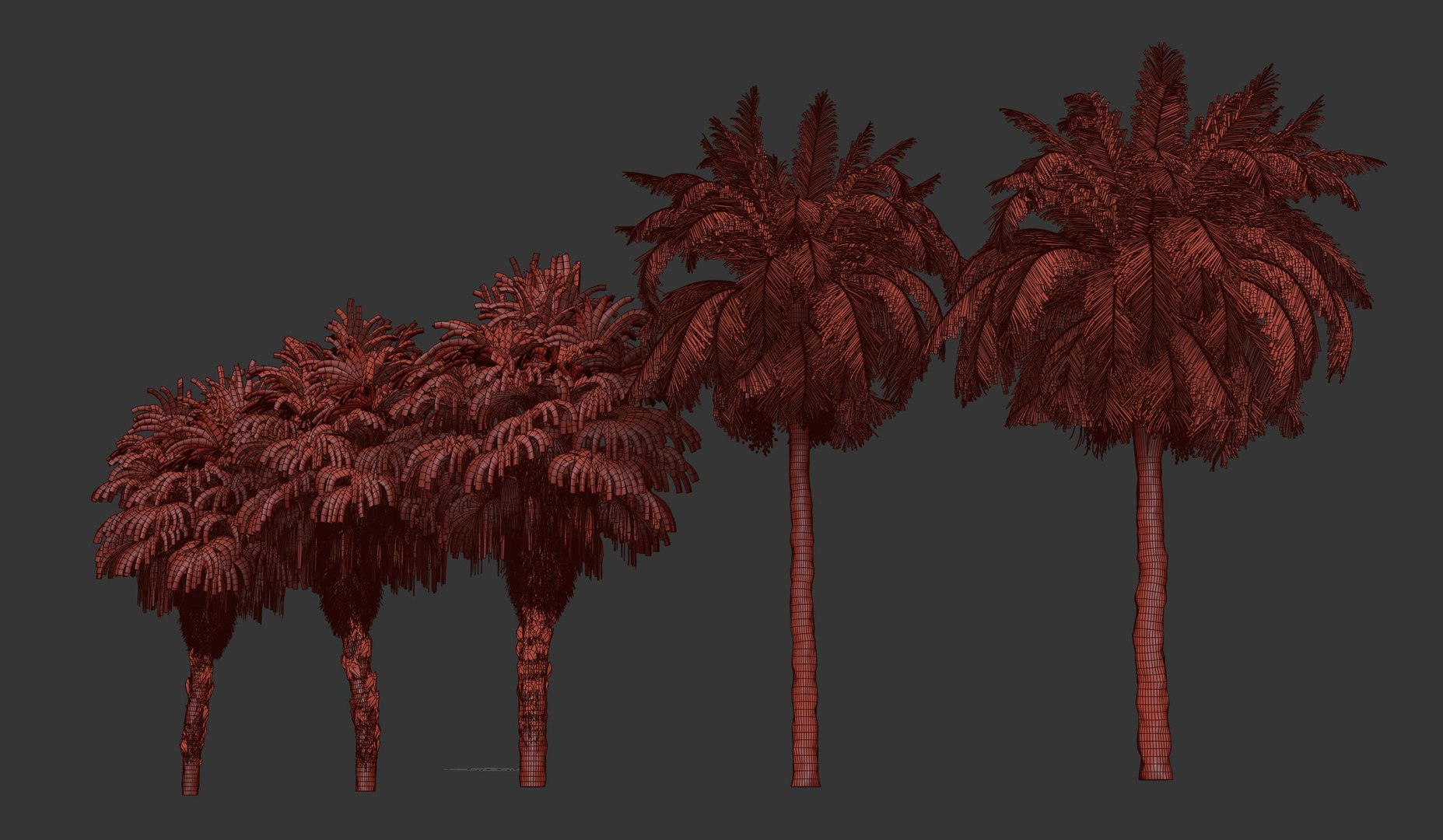 3D PALM - TurboSquid 1981081
