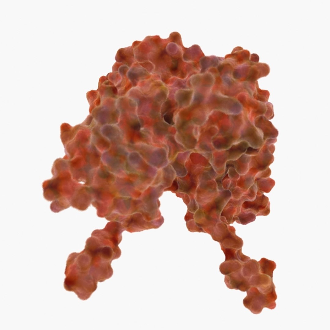 Estrogen Receptor Max