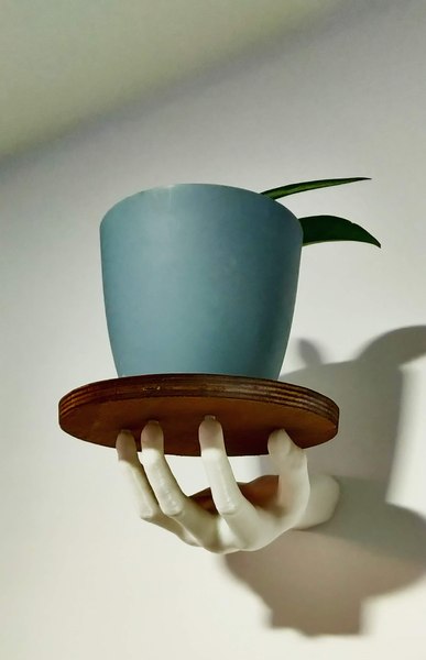 3D HAND SHELF - TurboSquid 2013977