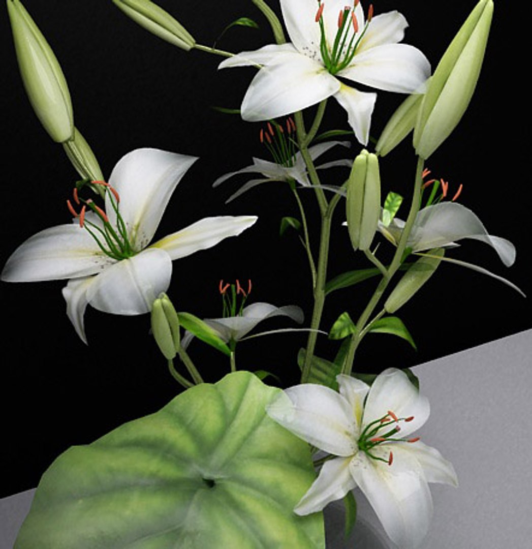 3d Flower Model
