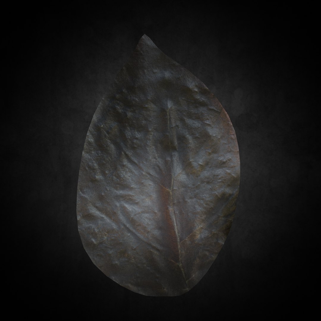 3D Leaf Asset - TurboSquid 1617361
