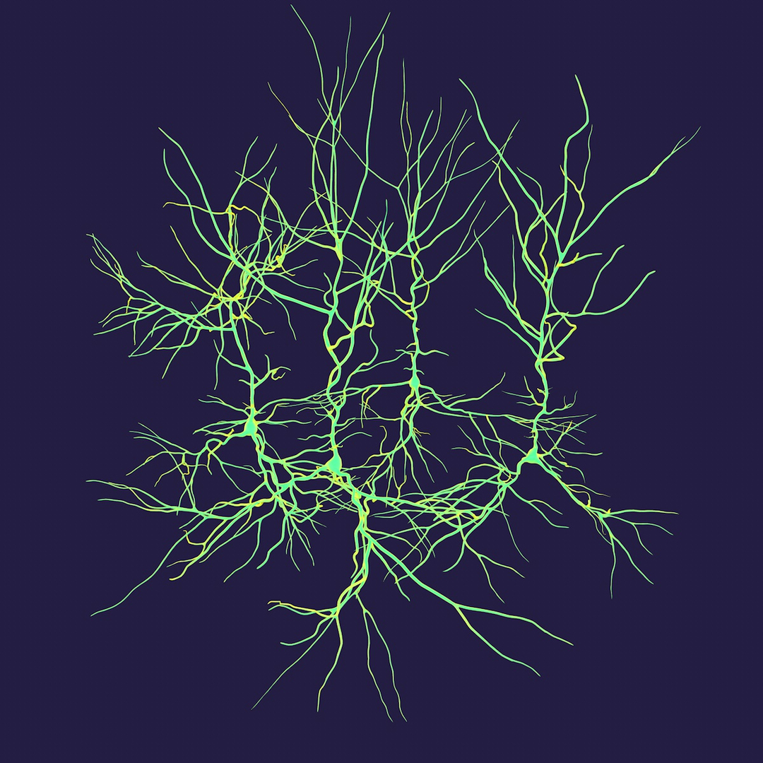 Pyramidal neurons model - TurboSquid 1196142