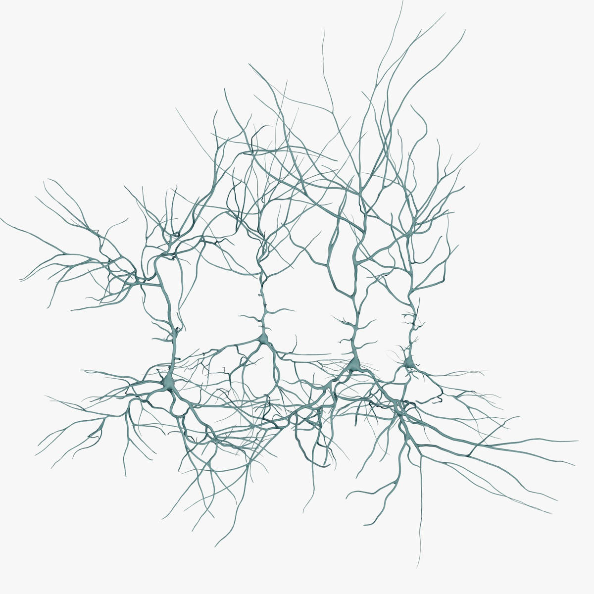 Pyramidal neurons model - TurboSquid 1196142