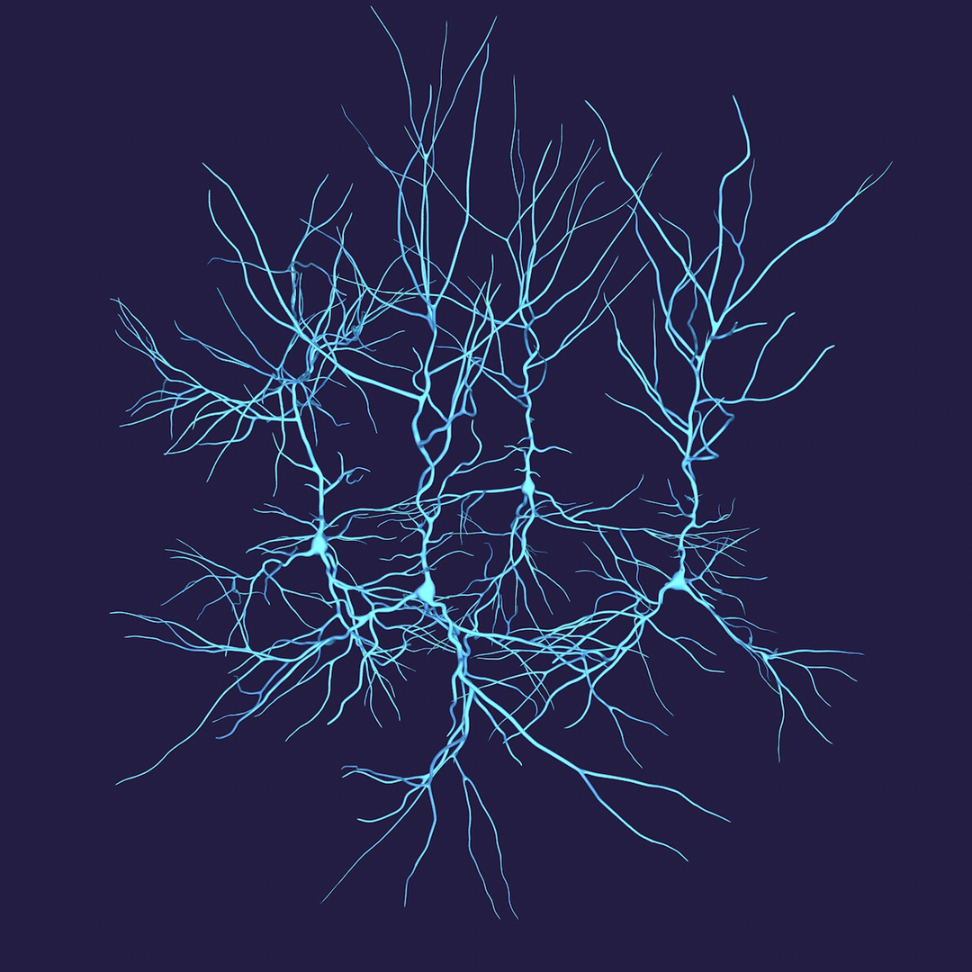 Pyramidal neurons model - TurboSquid 1196142