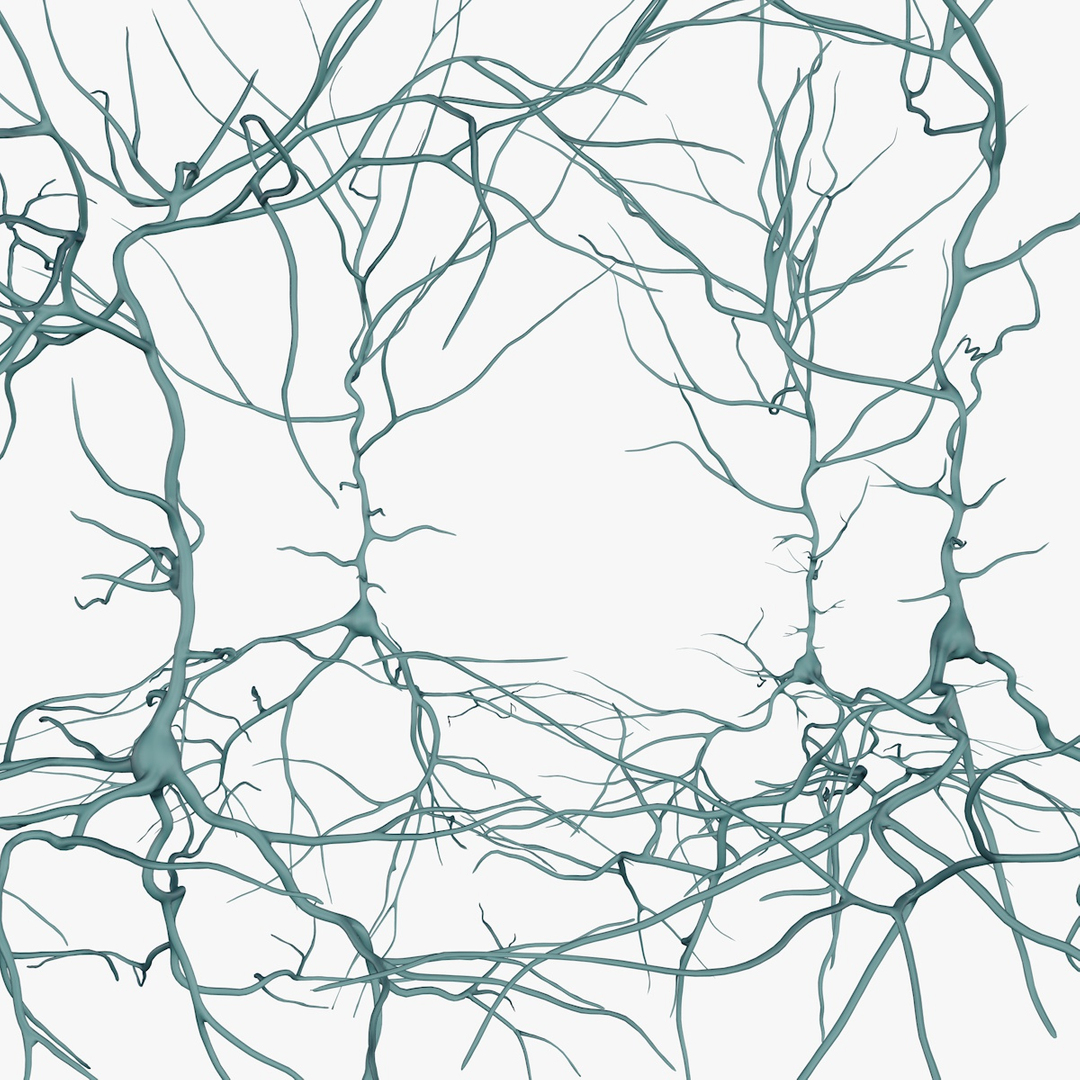 Pyramidal neurons model - TurboSquid 1196142