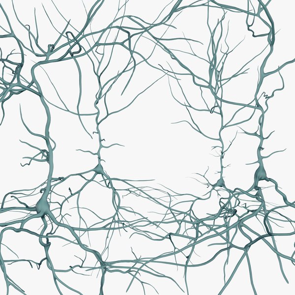 Pyramidal neurons model - TurboSquid 1196142