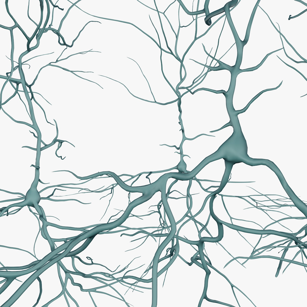 Pyramidal neurons model - TurboSquid 1196142