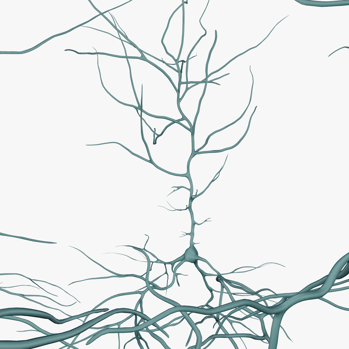 Pyramidal neurons model - TurboSquid 1196142