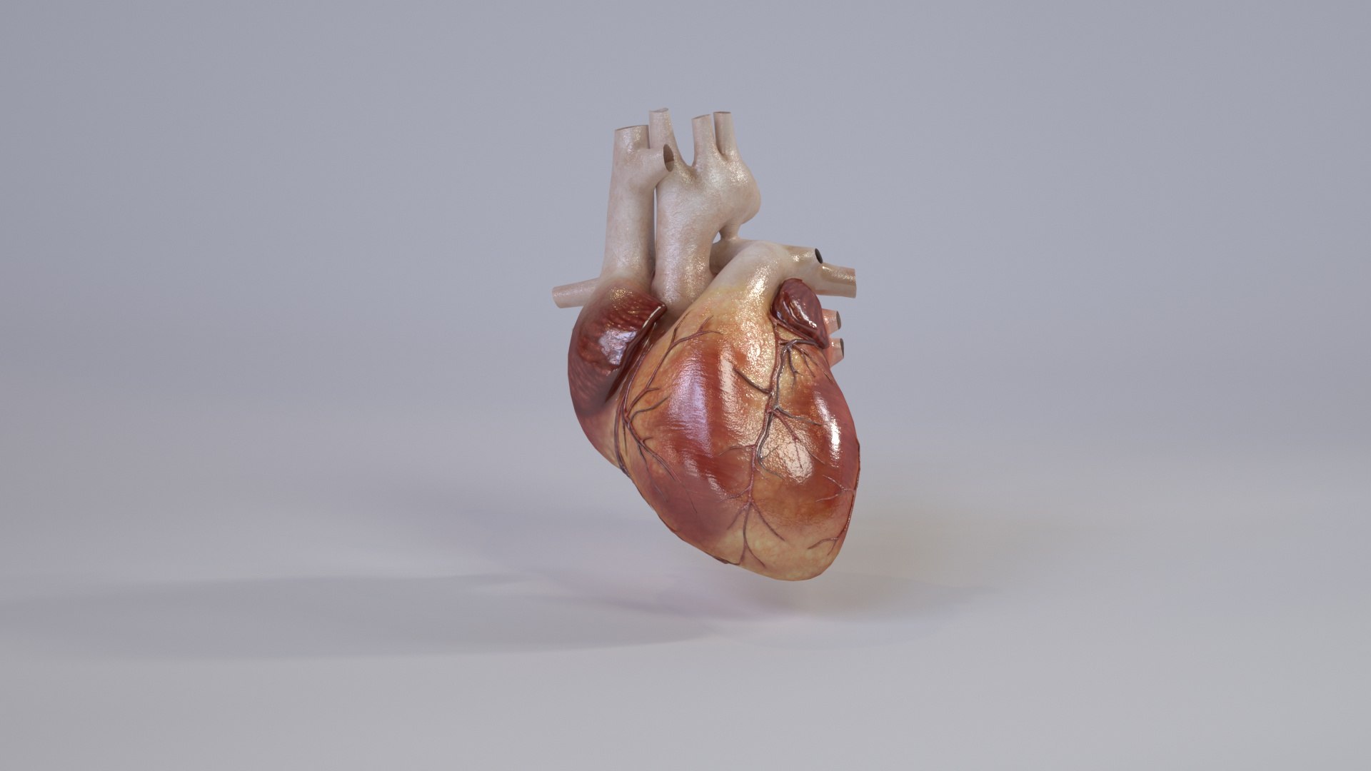 3D Octane Render - TurboSquid 1462949