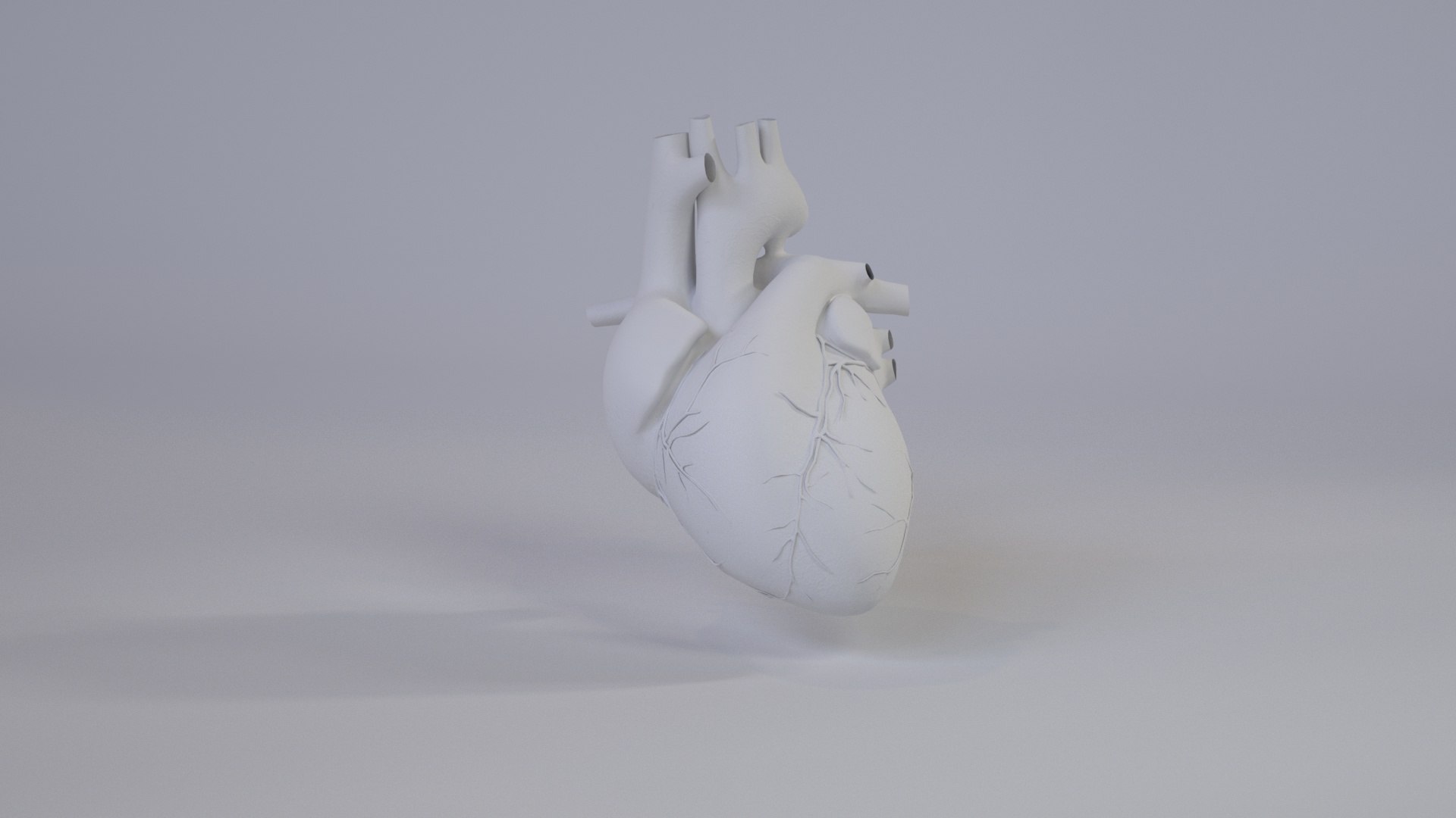 3D Octane Render - TurboSquid 1462949
