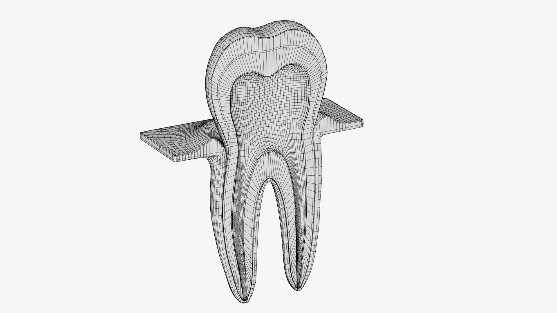3D Molar Tooth Anathomy - TurboSquid 1840504