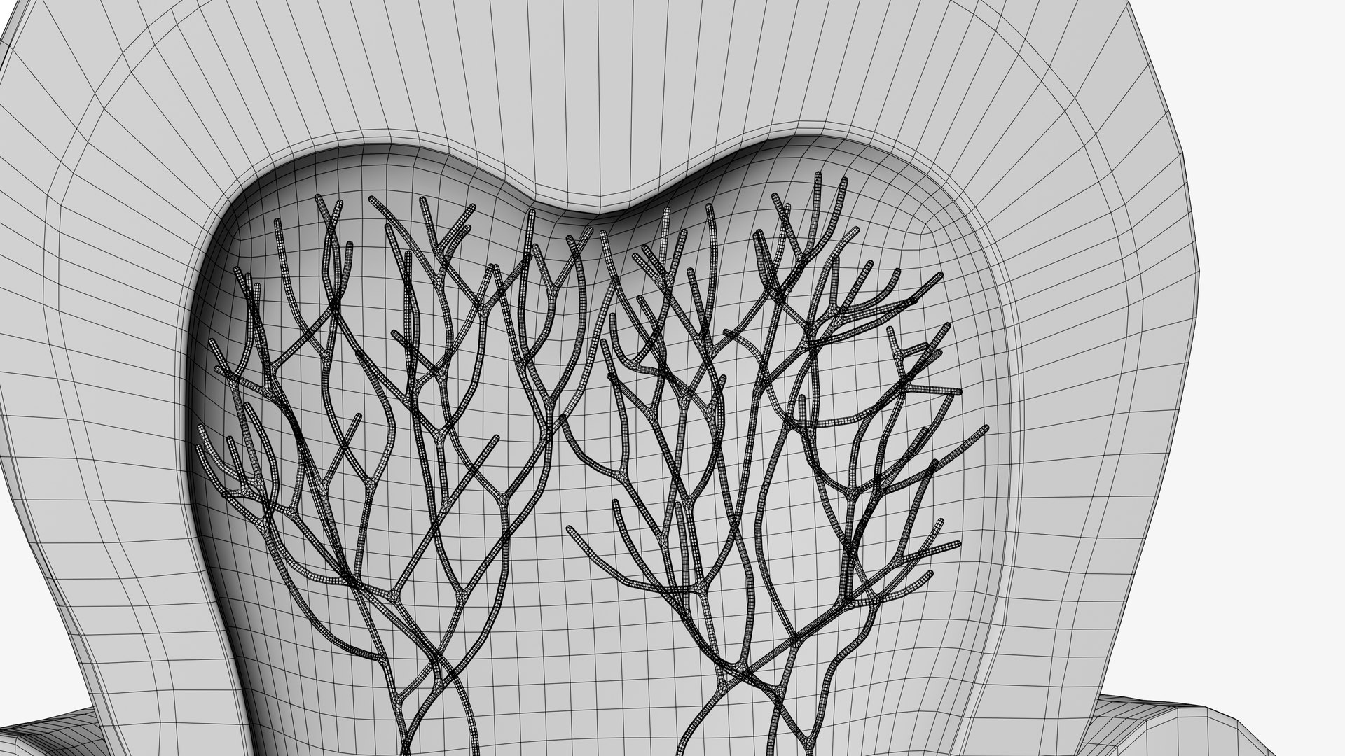 3D Molar Tooth Anathomy - TurboSquid 1840504