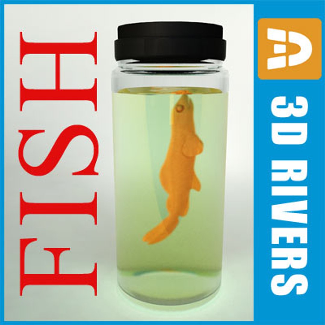 3d stage fish embryo