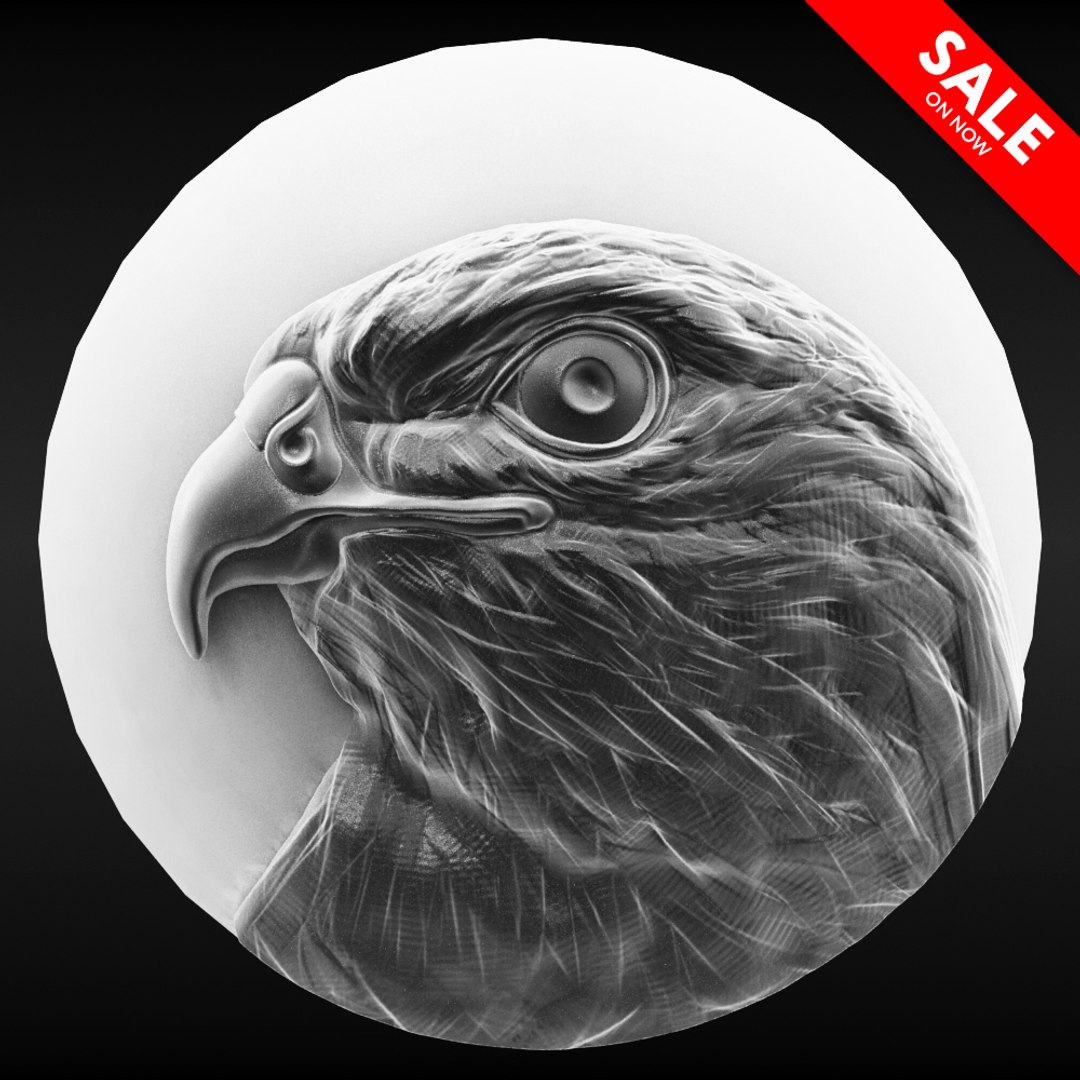Hawk Coin 3D Model - TurboSquid 1226567