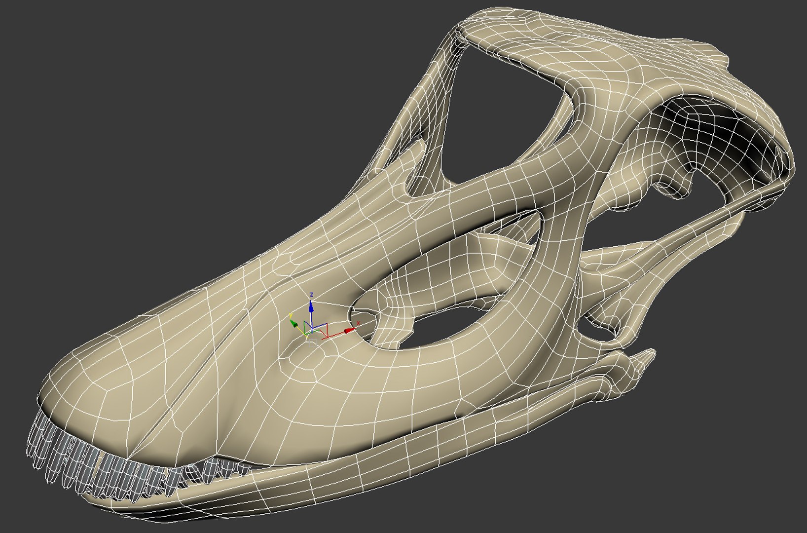 Diplodocus Skull 3D Model - TurboSquid 1228845