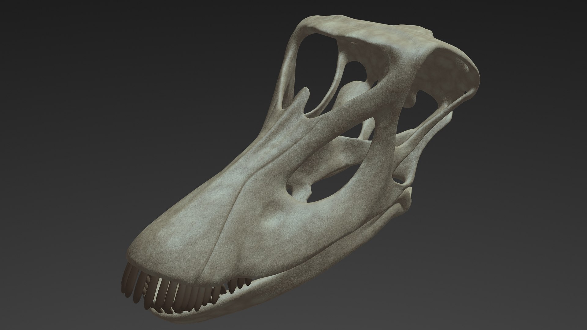 Diplodocus Skull 3D Model - TurboSquid 1228845