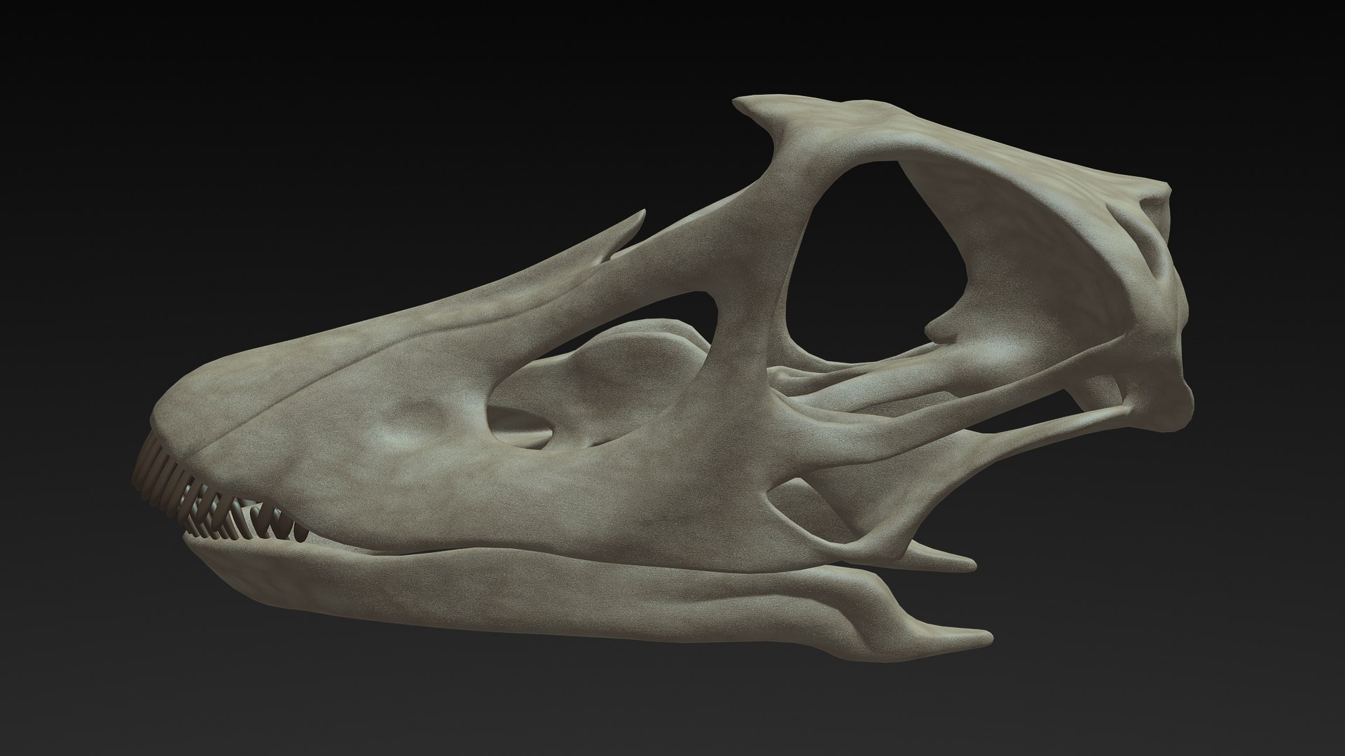 Diplodocus Skull 3D Model - TurboSquid 1228845