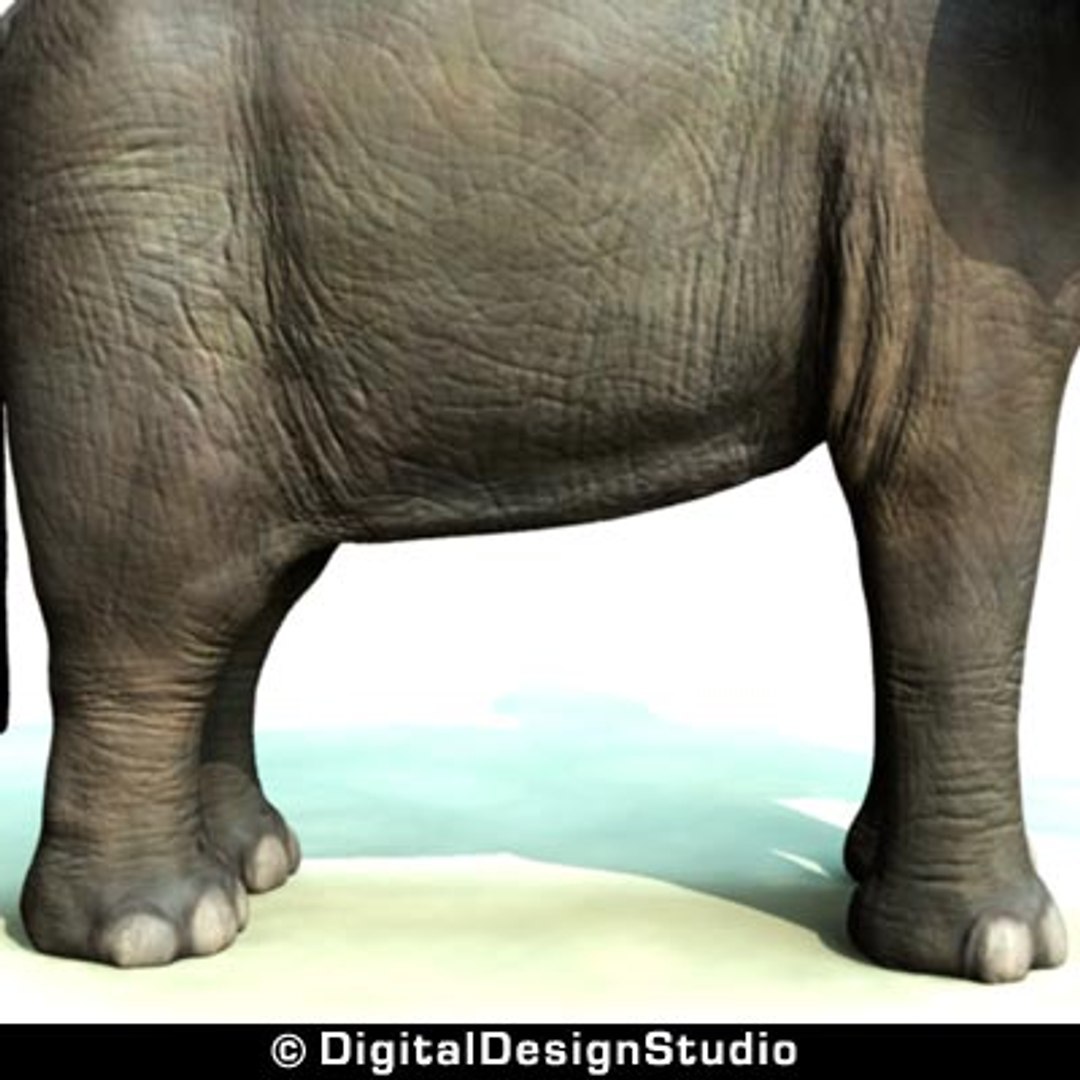 Maya African Elephant