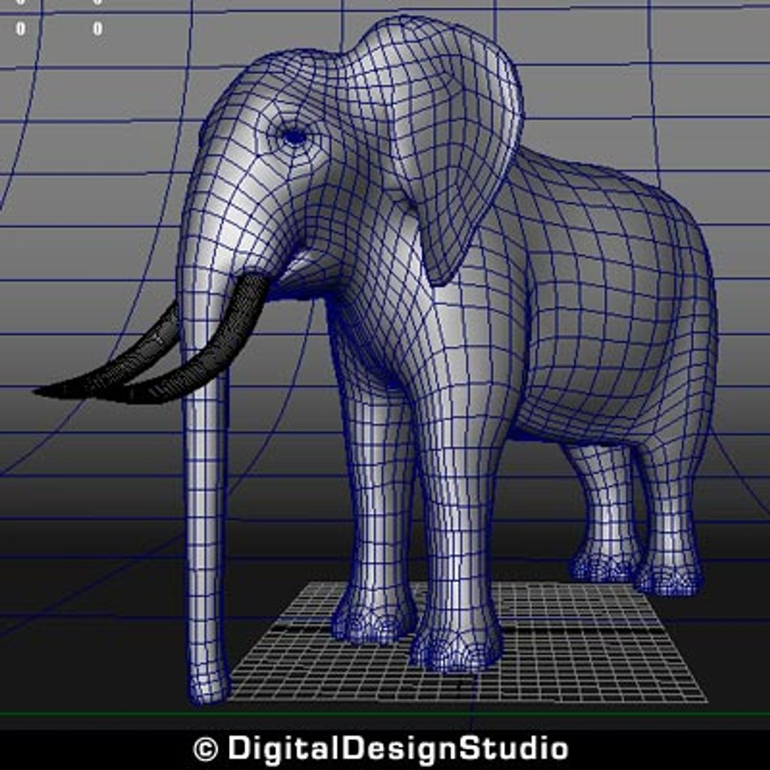 Maya African Elephant