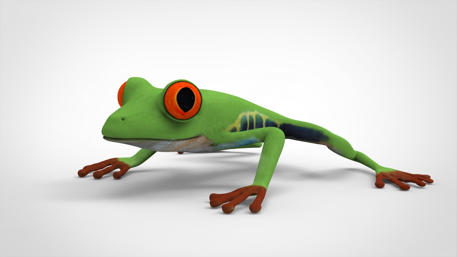 Frog3D模型 - TurboSquid 1909772
